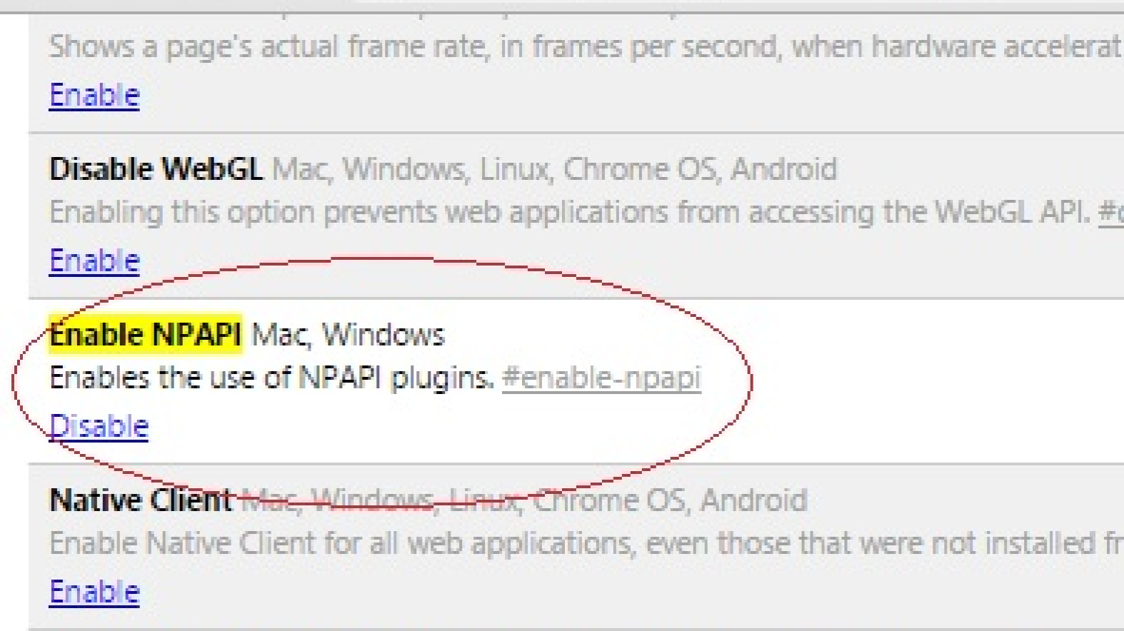 Google Chrome NPAPI plug-in